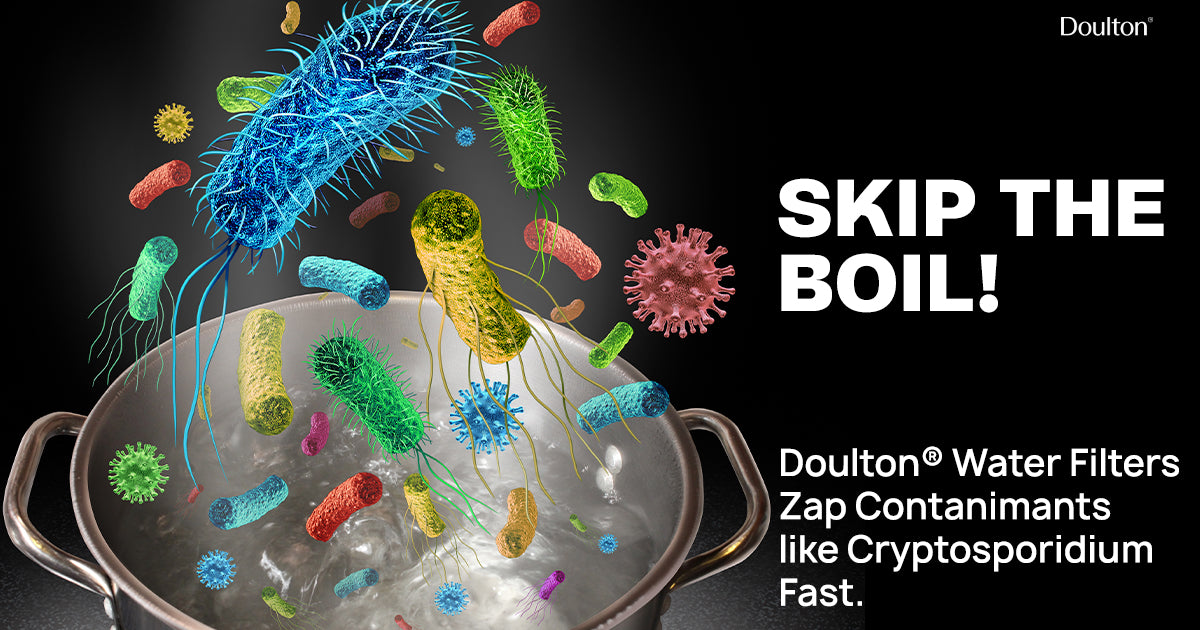 Combat cryptosporidium after the recent outbreak