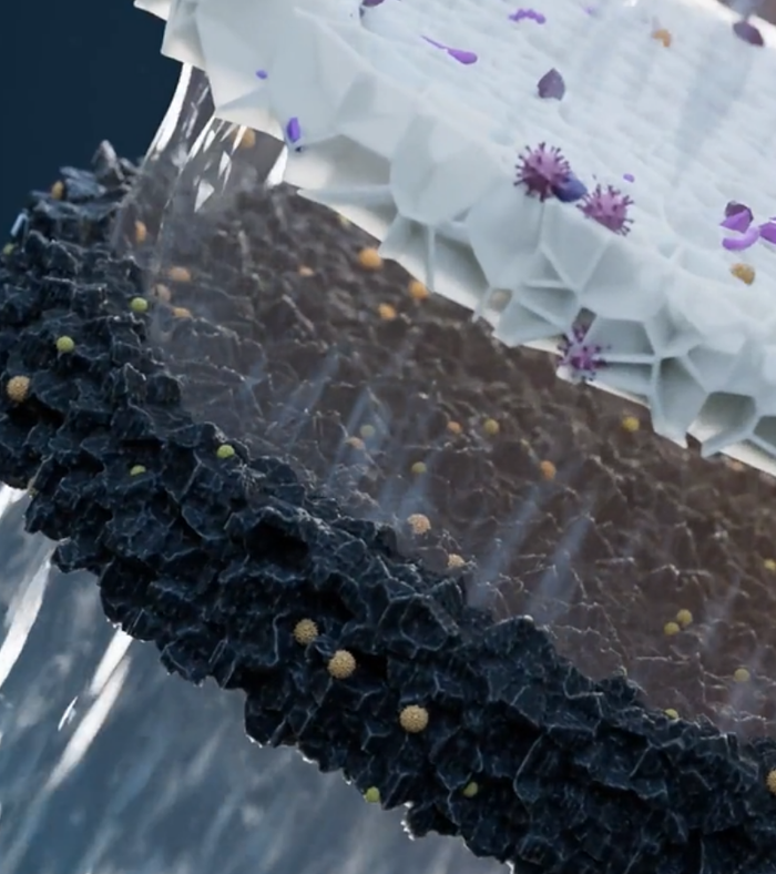 Ceramic Water Filters - What They Are & How Do They Work? – Doulton ...